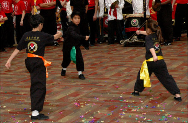 punching_form2 – Jow Ga Shaolin Institute